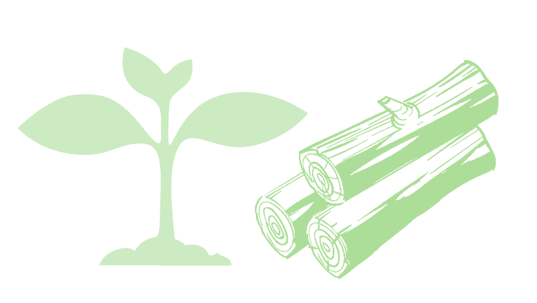 BIO ACETATE D’AUROCHIM – CC2L